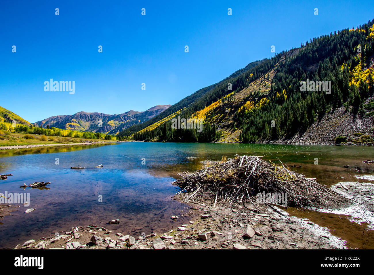 Maroon fall colors hi-res stock photography and images - Alamy