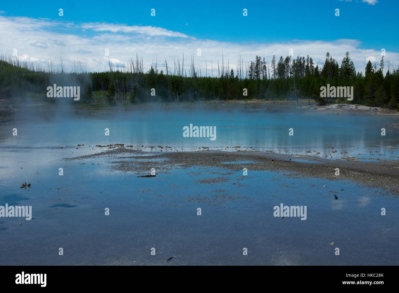 Norris Geyser Basin, Yellowstone National Park, Wyoming, USA Stock ...