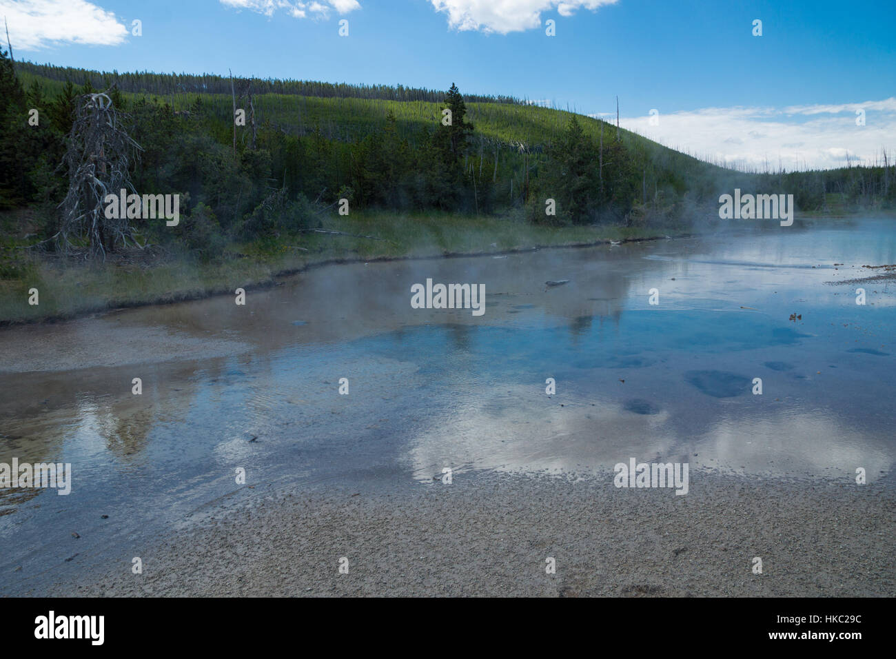 Norris Geyser Basin, Yellowstone National Park, Wyoming, USA Stock ...