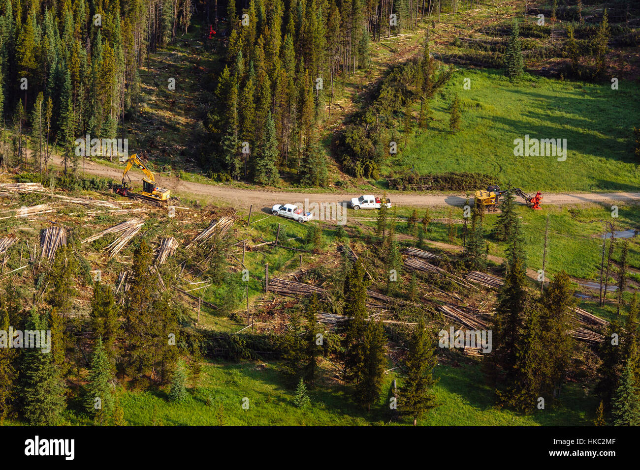 Clearcut logging in the foothills of Alberta's Rocky Mountains for ...