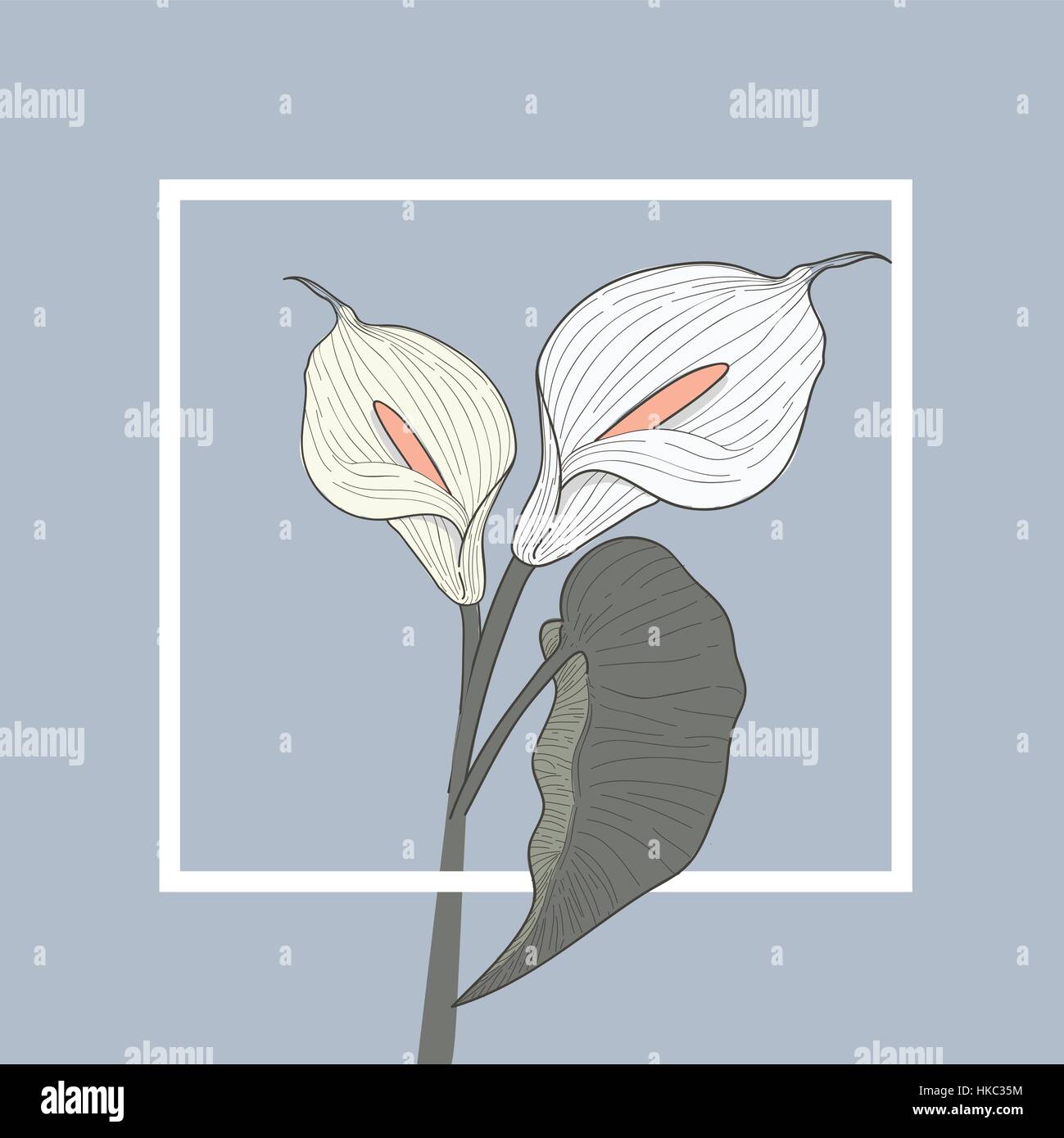 Anthurium Floral Vector Illustration Concept Stock Vector Image & Art ...