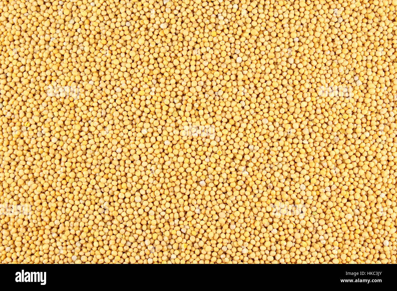 white mustard seeds closeup food background texture Stock Photo - Alamy