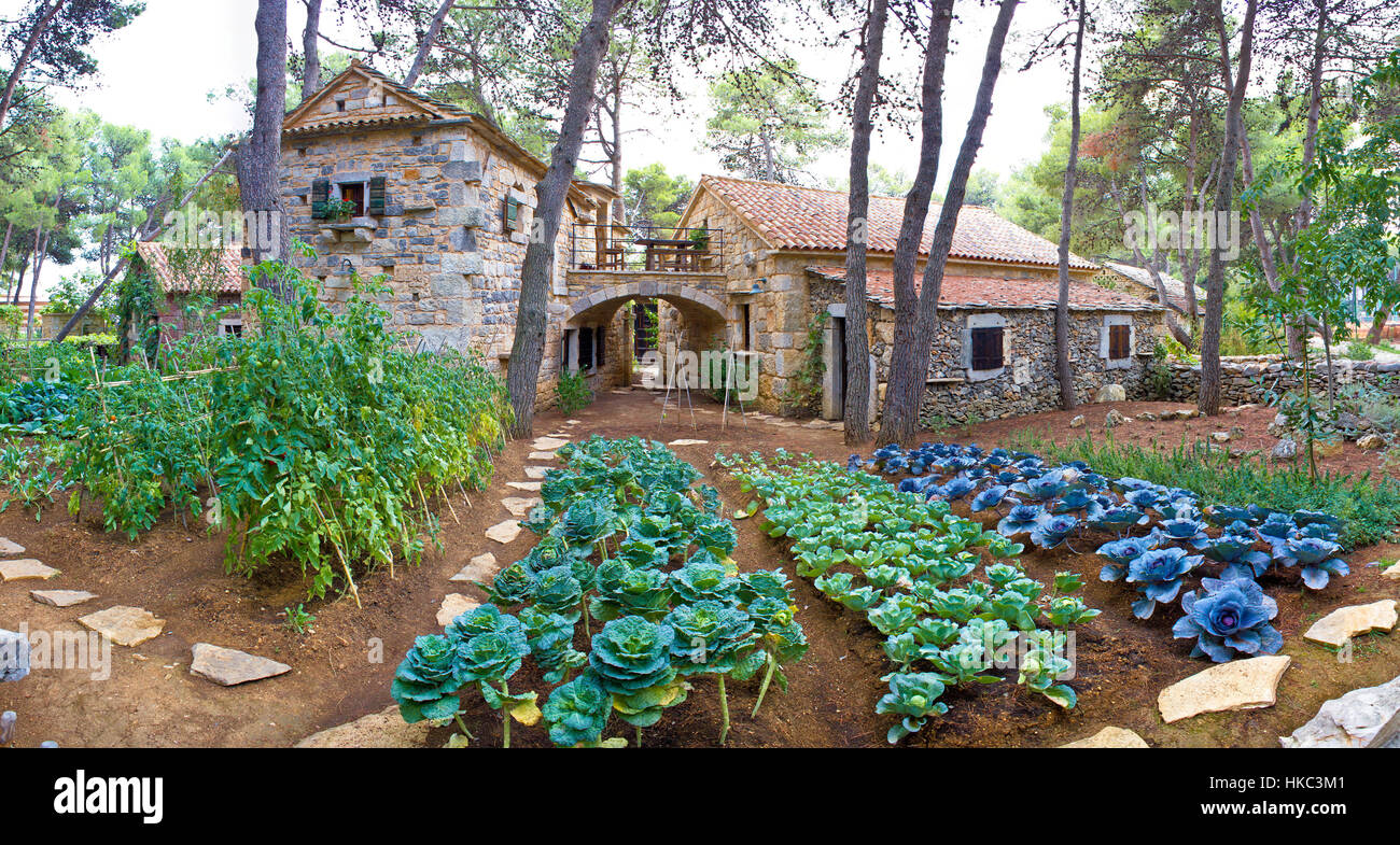 Village garden hi-res stock photography and images - Alamy
