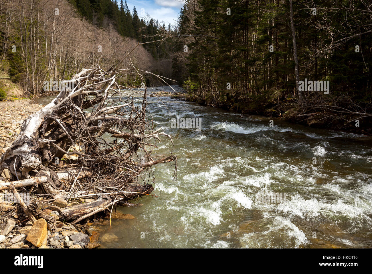 Mountain river. Landscape of the mountain water flow in the forest ...