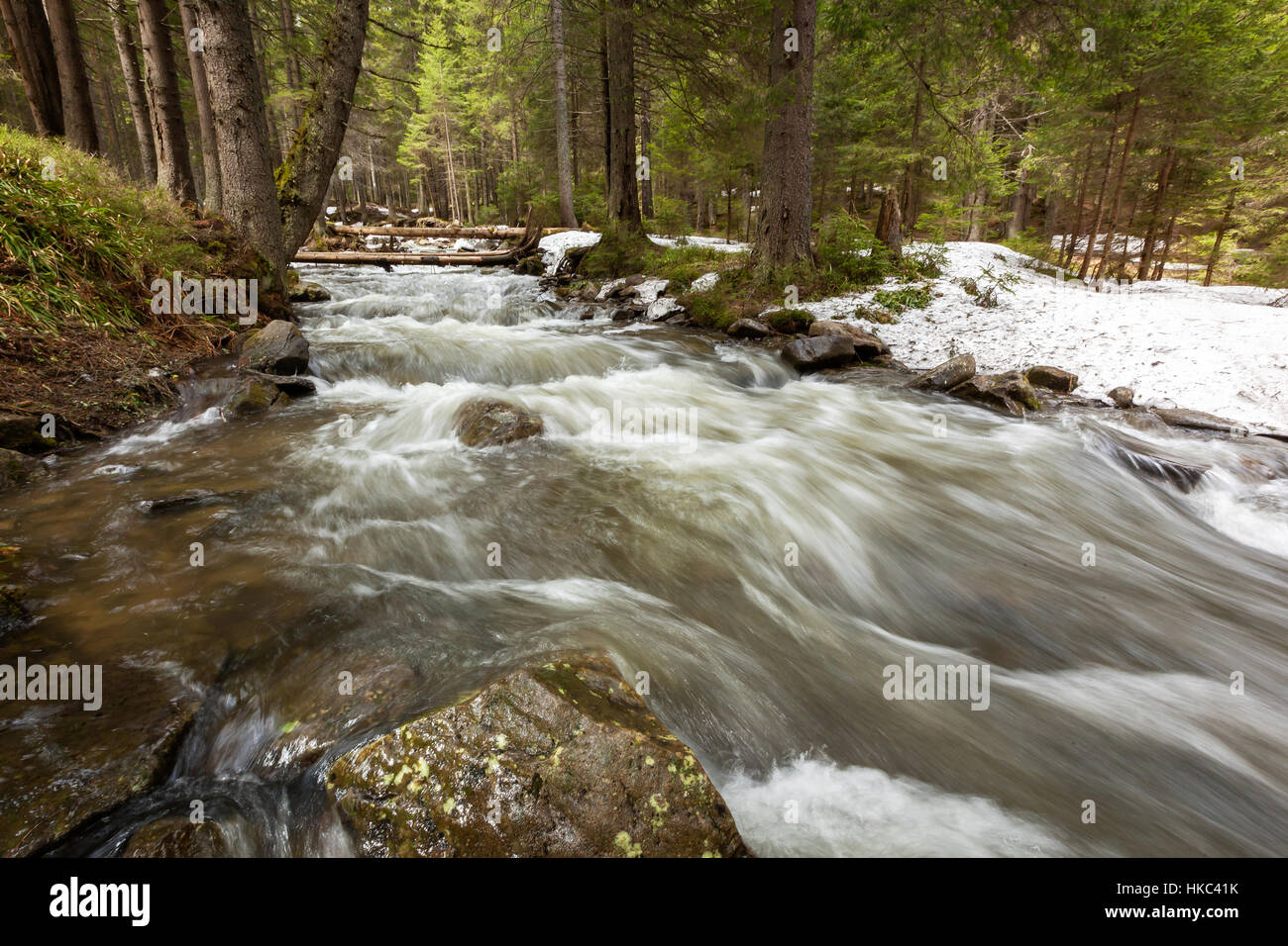 Mountain river. Landscape of the mountain water flow in the forest ...