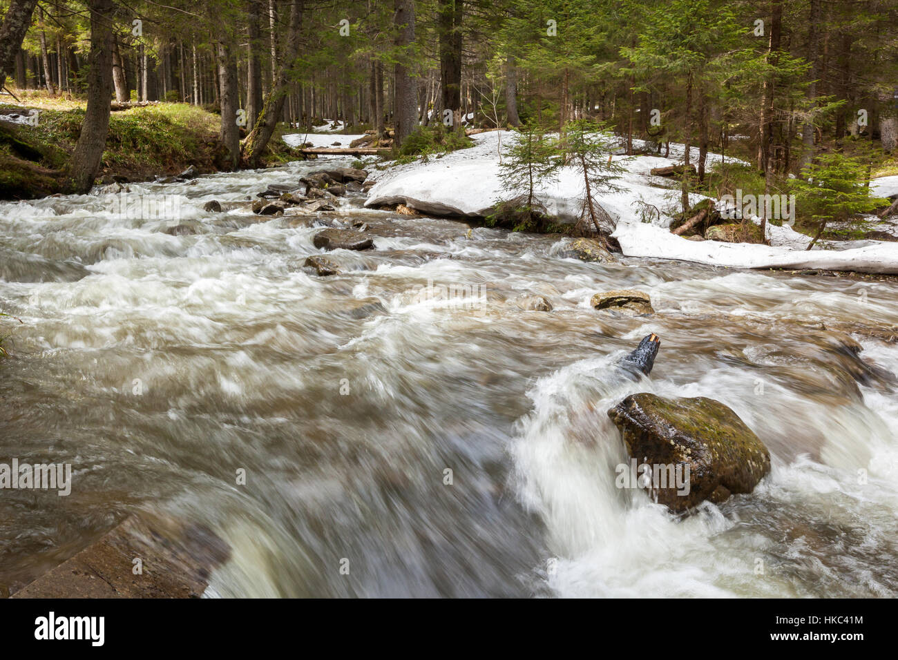 Mountain river. Landscape of the mountain water flow in the forest ...
