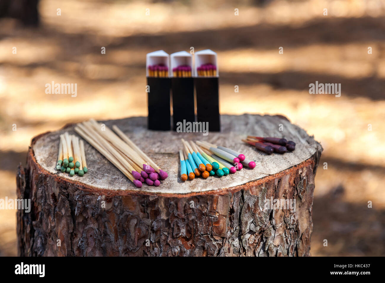 Hunting matches. Boxes with hunting matches and matches on the stump in ...