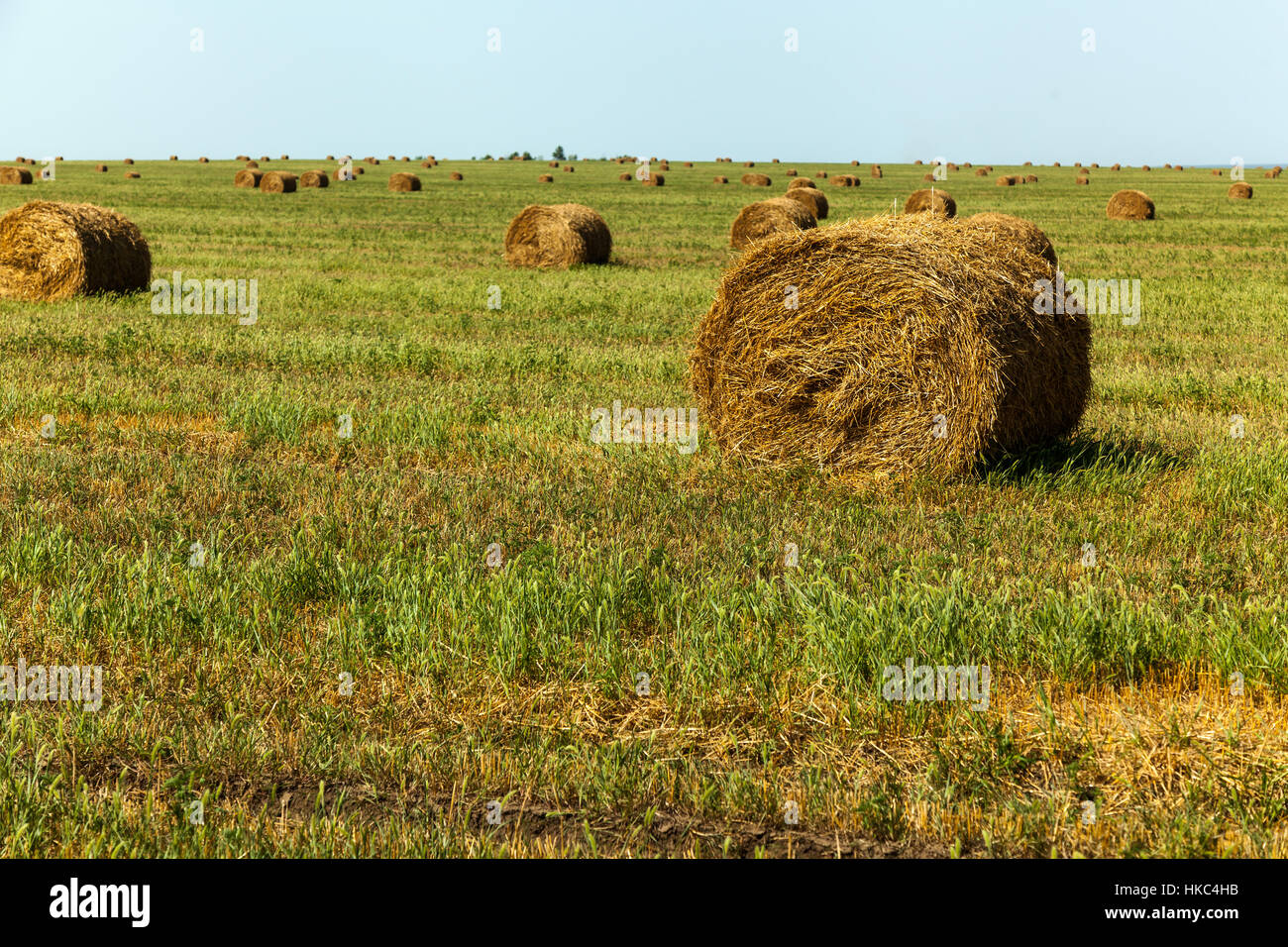 Haystack. Massive haystacks close up on the green field with the blue ...