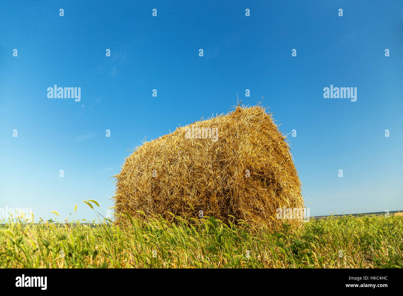 Haystack. Massive haystacks close up on the green field with the blue ...