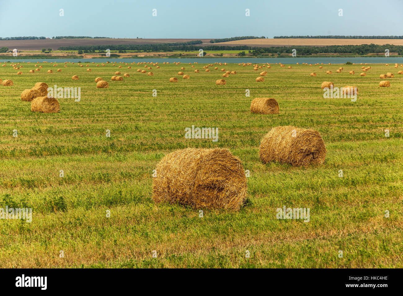Massive wheat pile hi-res stock photography and images - Alamy