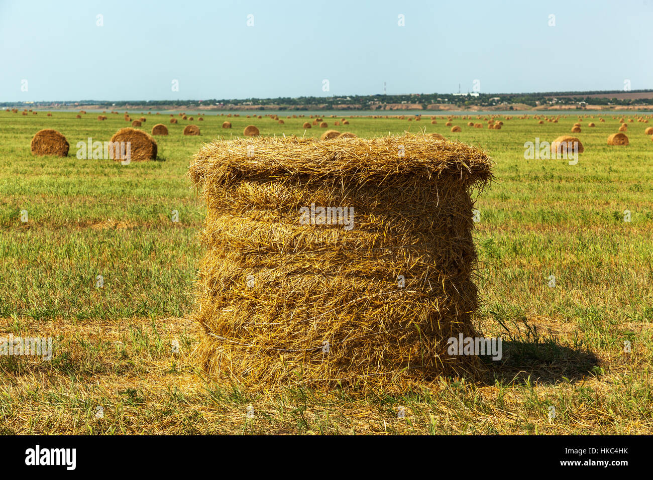 Massive wheat pile hi-res stock photography and images - Alamy