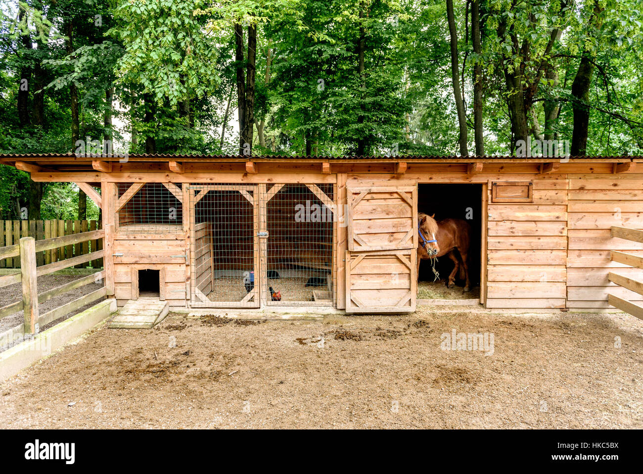 Mini ZOO with home stables, barn horses and chicken. Miniature petting ZOO in nature Stock Photo ...