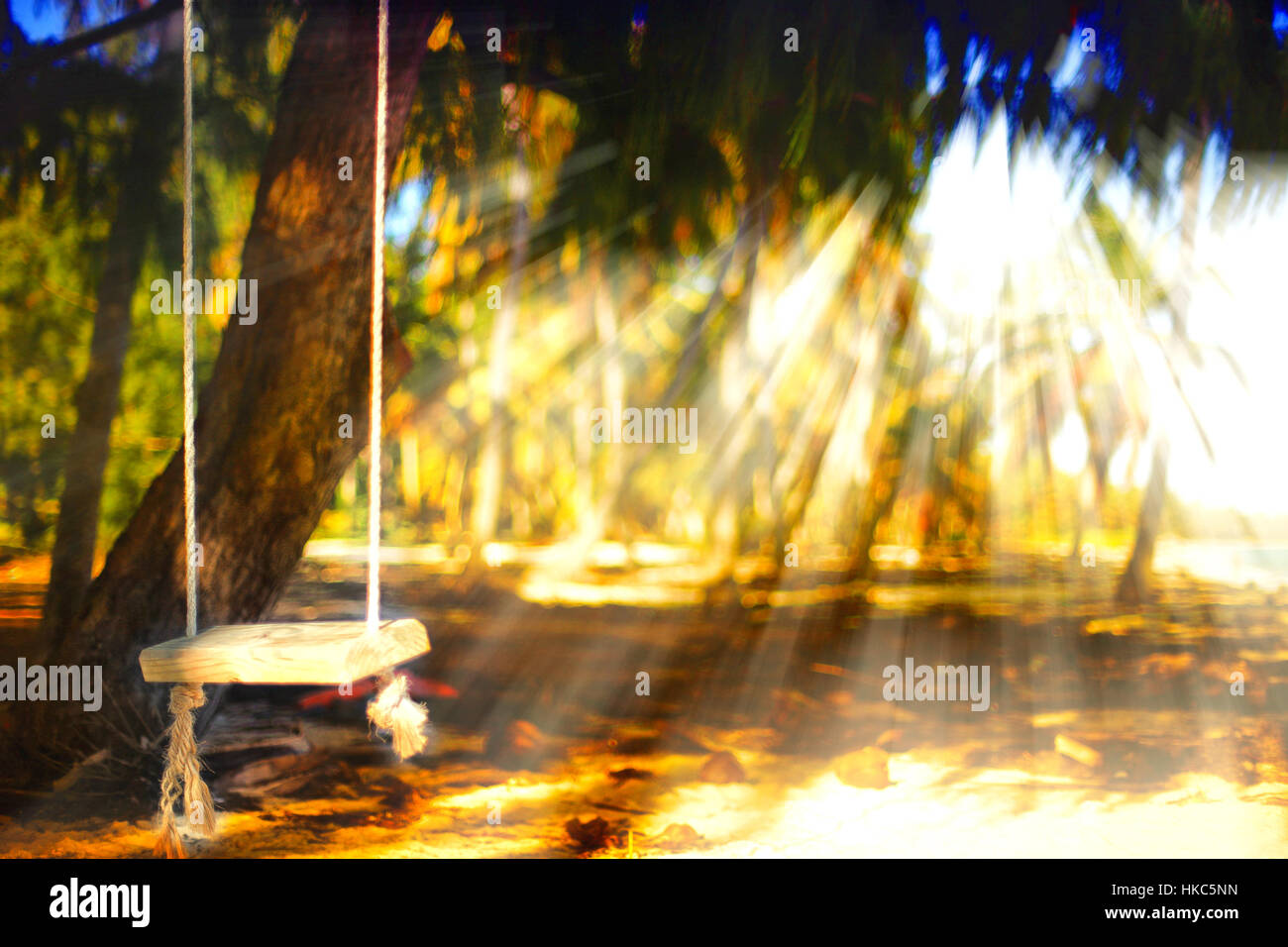 Rope swing in the tropical forest on the beach Stock Photo - Alamy