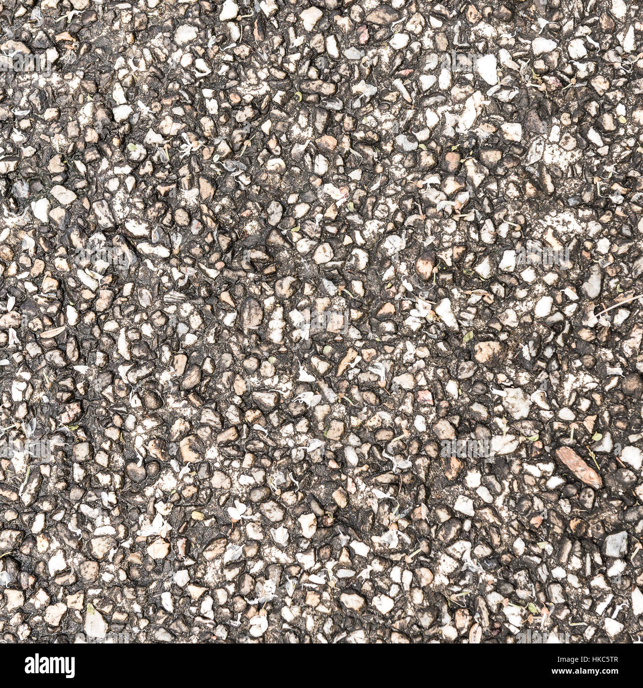 Natural gray pavement stone texture for floor, wall or path ...