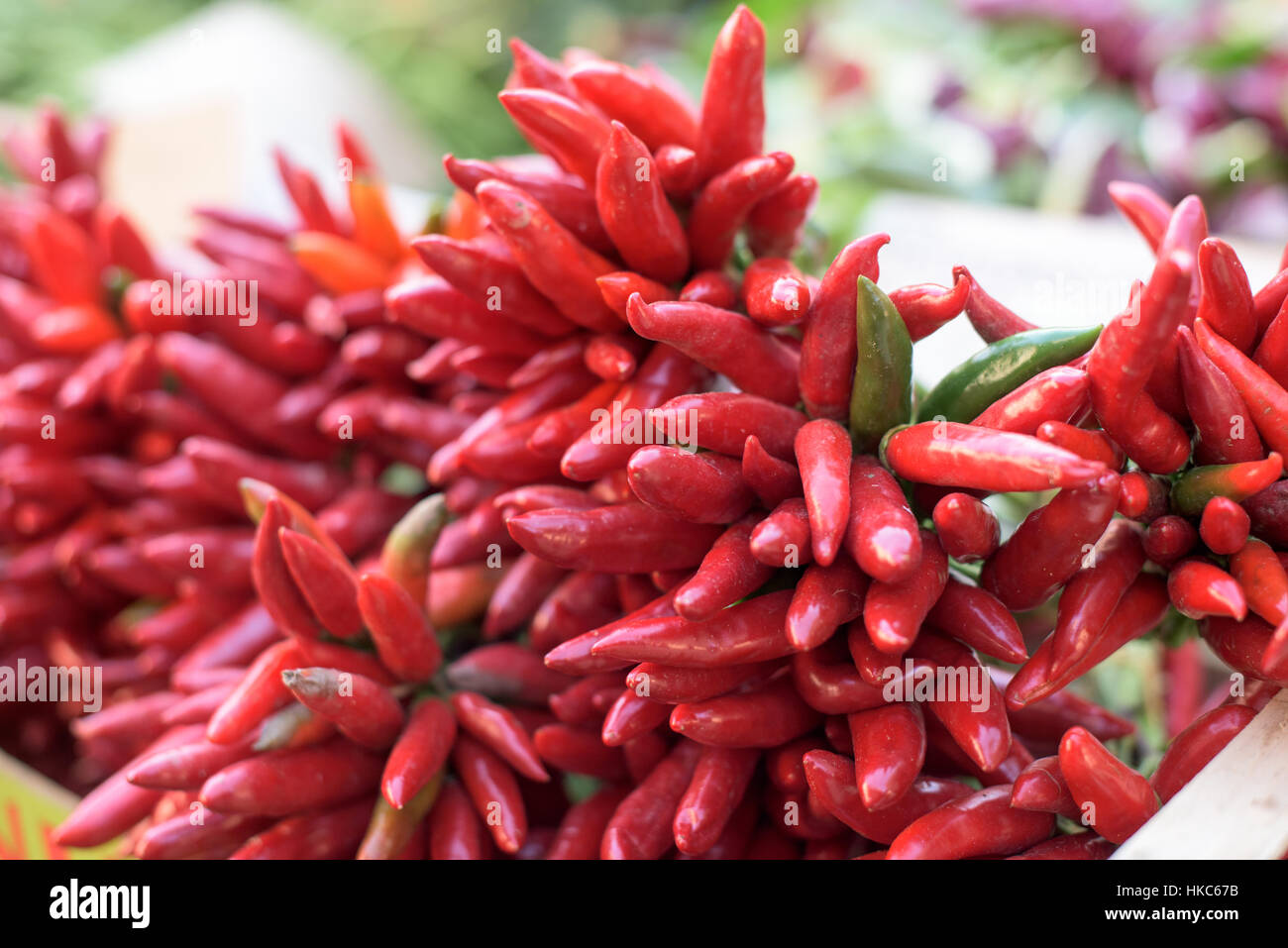 Heap of Red chili pepper on a market Stock Photo - Alamy