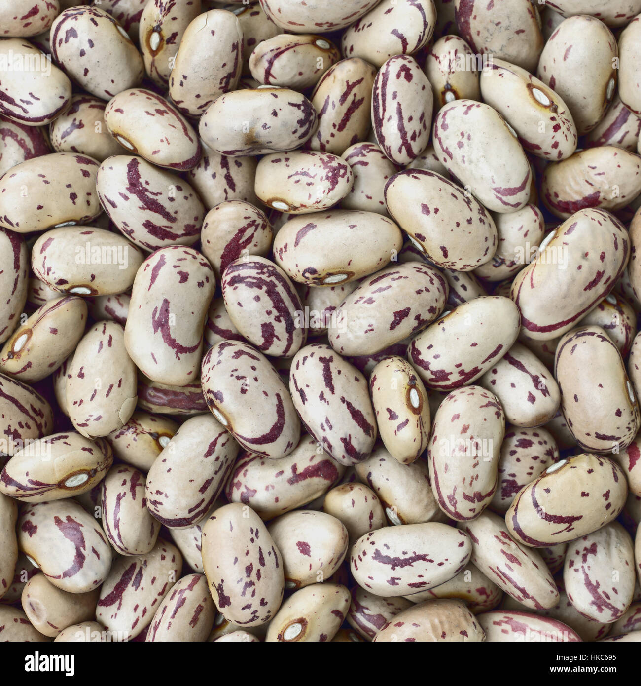 Cranberry, Borlotti, Roman or Shell beans texture background or pattern ...