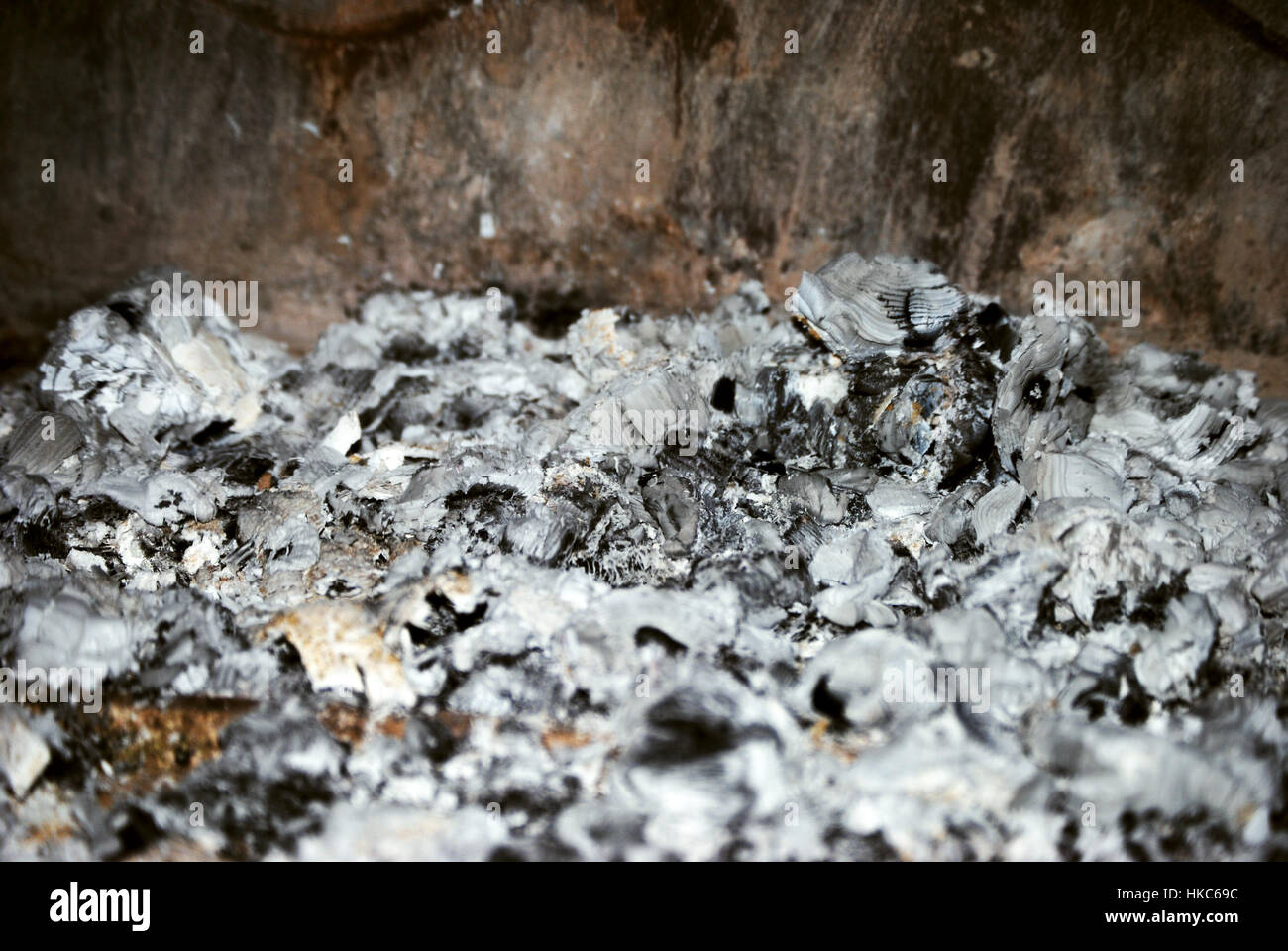 The dead wood - #ashes Stock Photo - Alamy