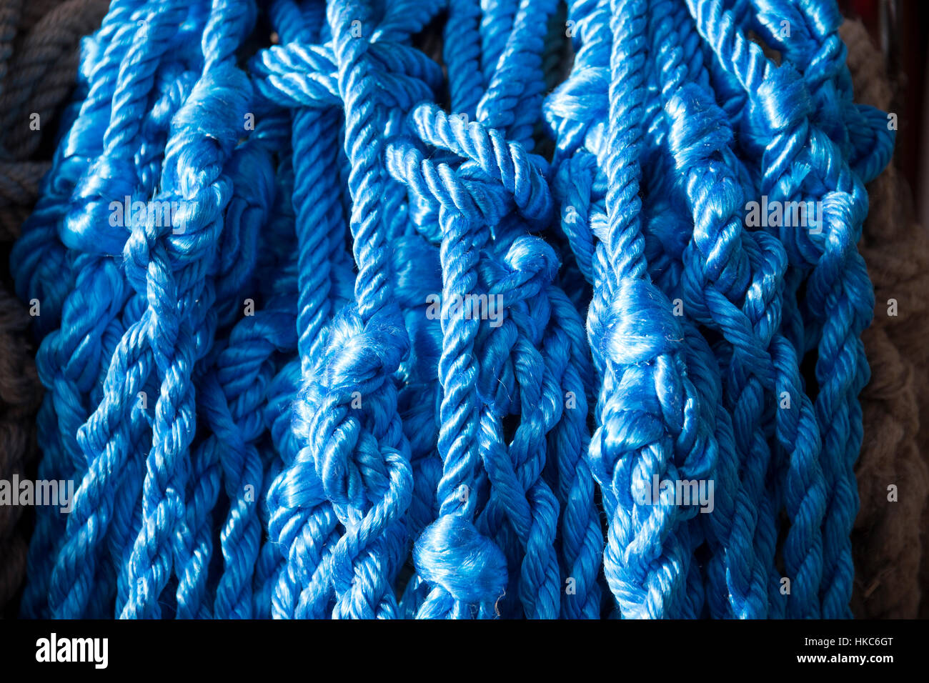 Blue colored ropes on market for sale Stock Photo - Alamy