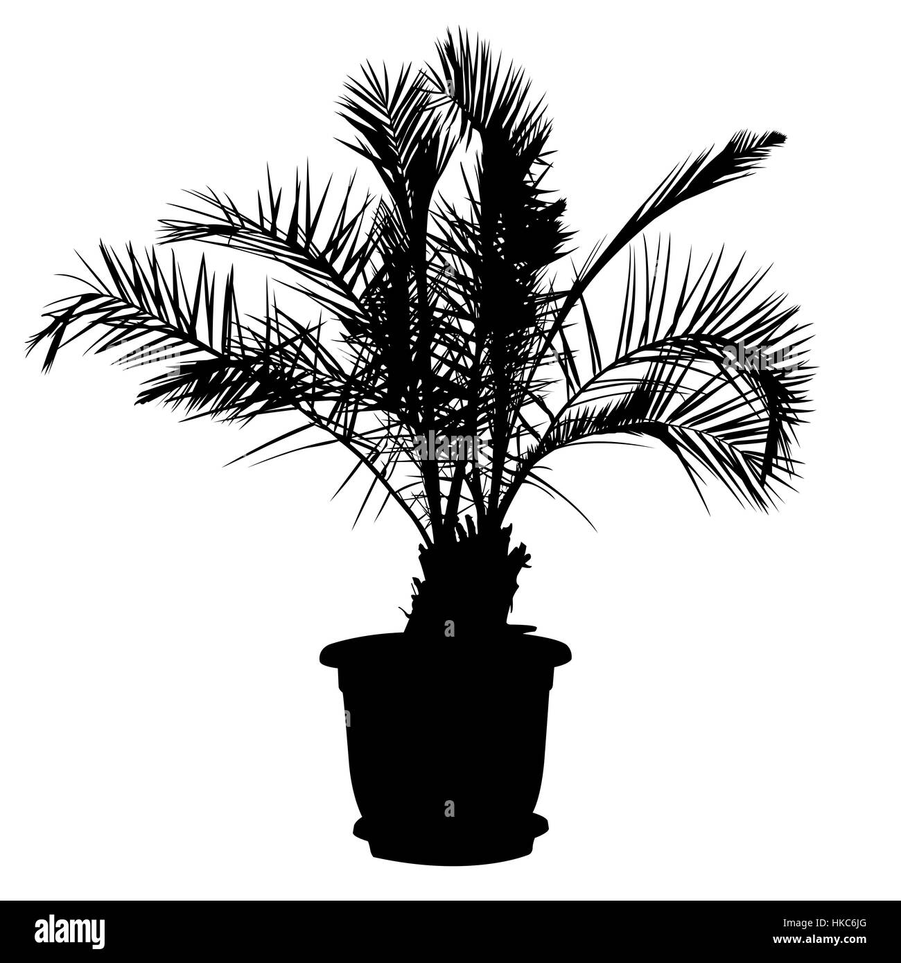 illustration of a potted palm tree isolated Stock Photo - Alamy