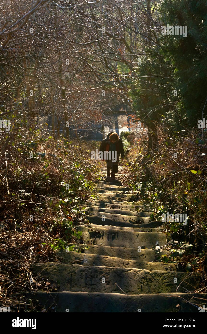 Climbing stone steps hi-res stock photography and images - Alamy