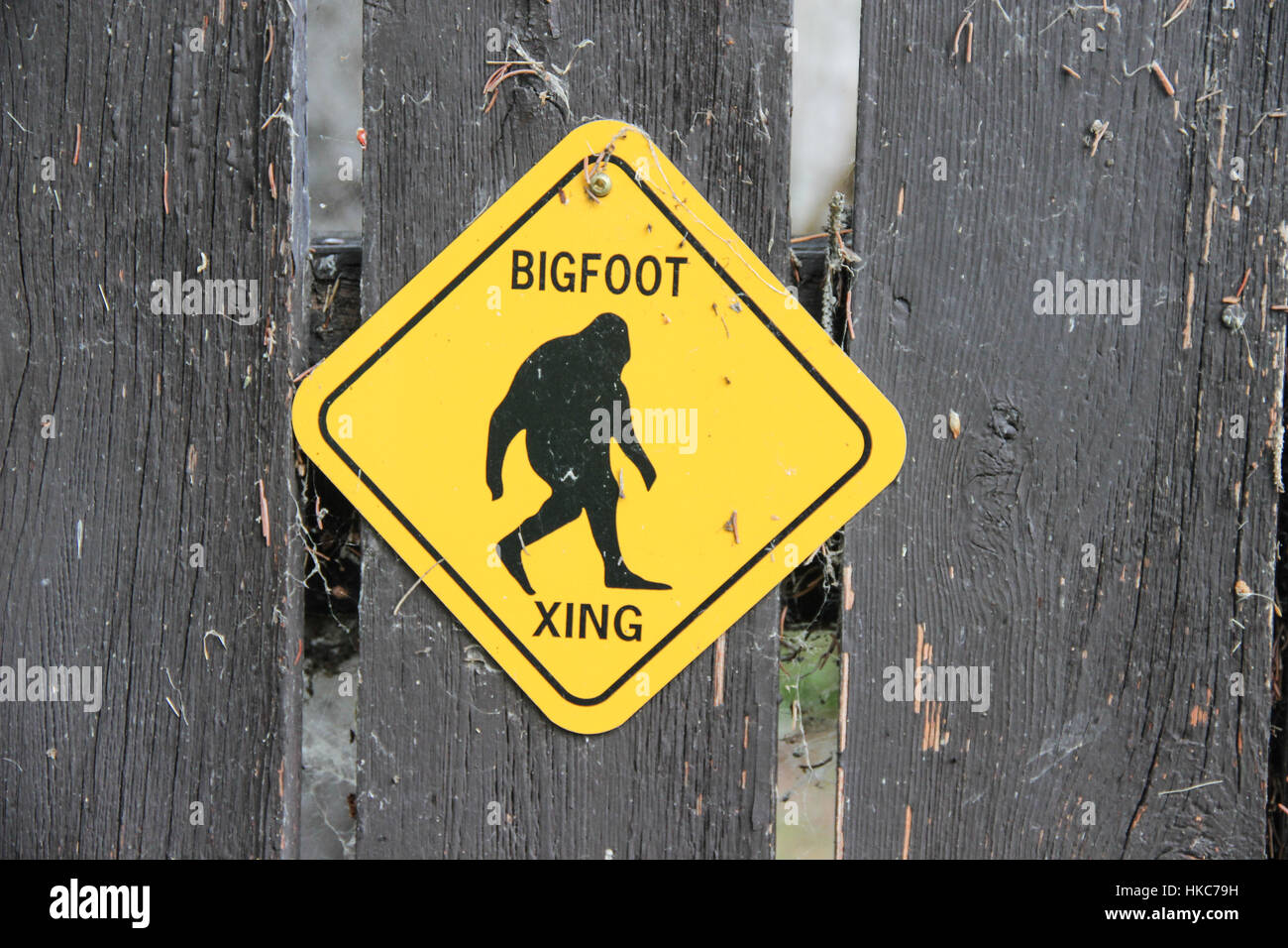 Funny signs children hi-res stock photography and images - Alamy