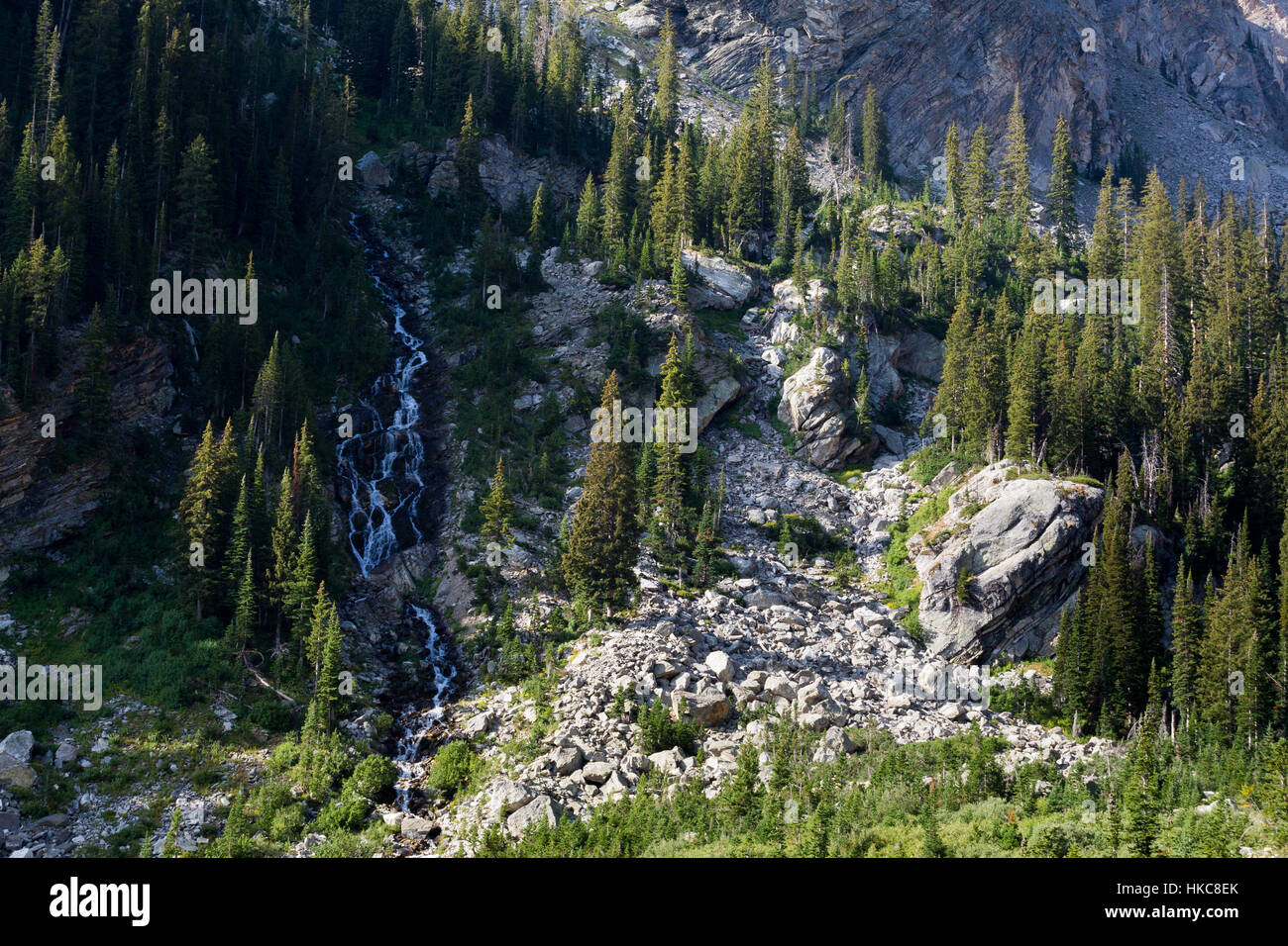 A waterfall pouring down the canyon wall of Paintbrush Canyon. Grand Teton National Park ...