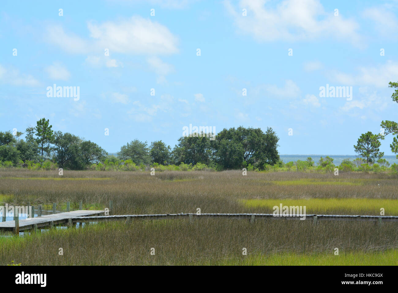 River flowing through a meadow to St George Sound, Florida Stock Photo ...