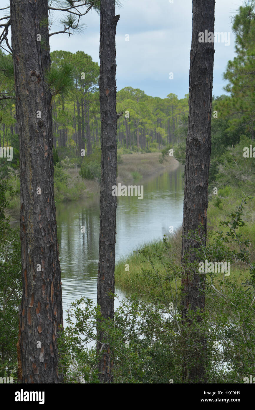 Gorgeous view on lake through hi-res stock photography and images - Alamy
