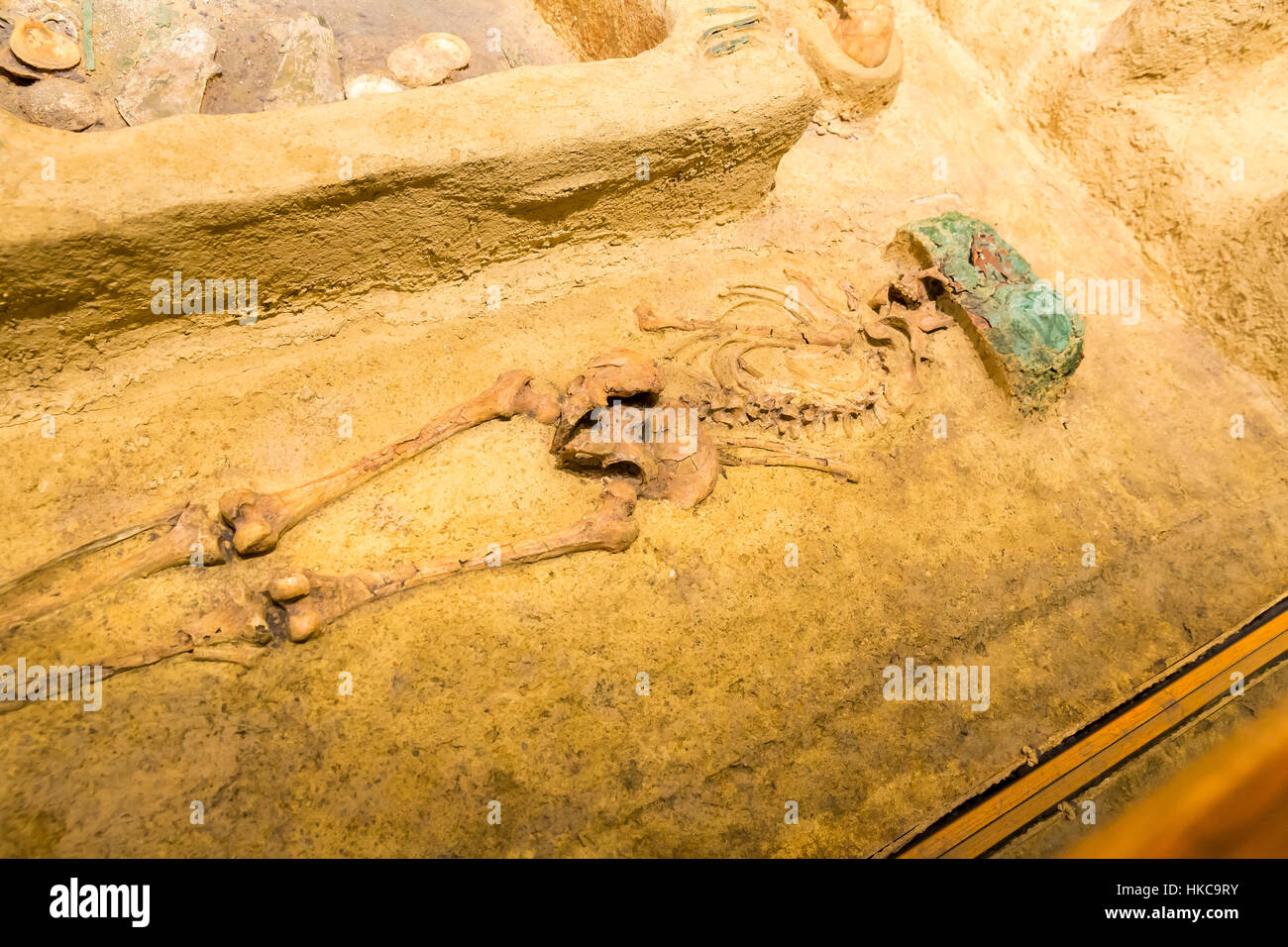 Archeological excavations of human burial Stock Photo - Alamy