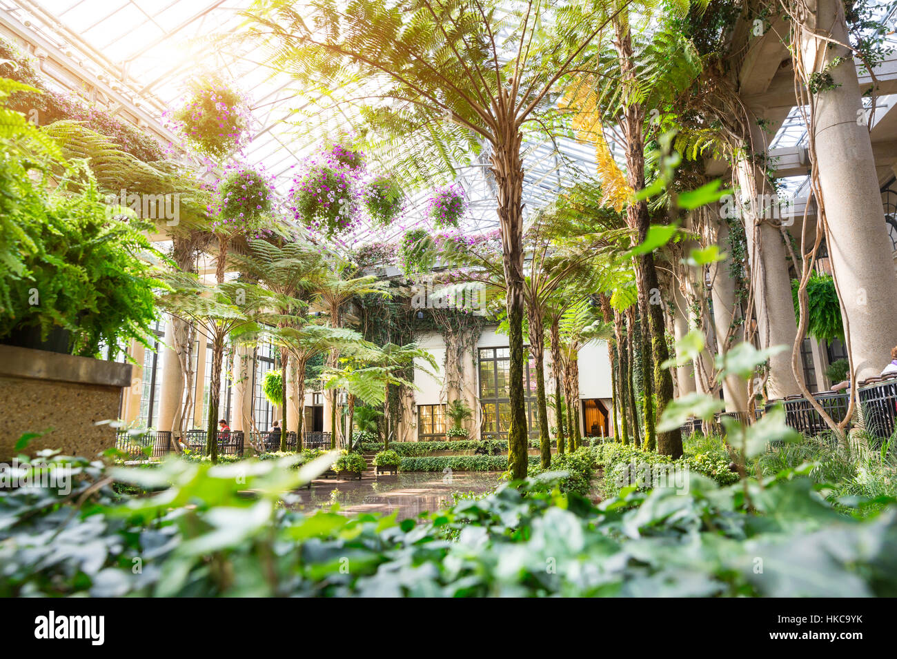 Different trees and plants in botanical garden Stock Photo - Alamy
