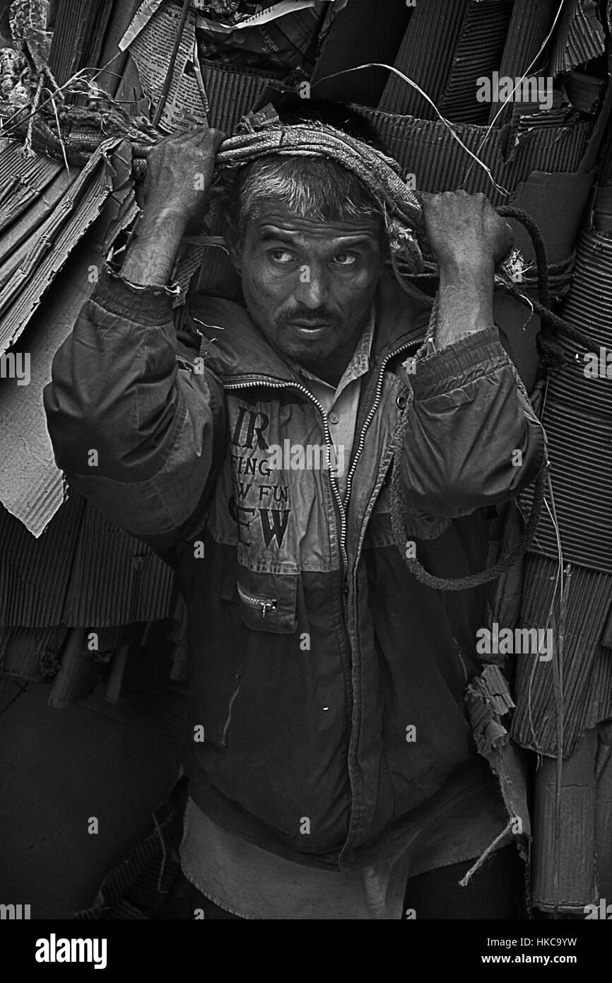 Carrying a load Stock Photo - Alamy