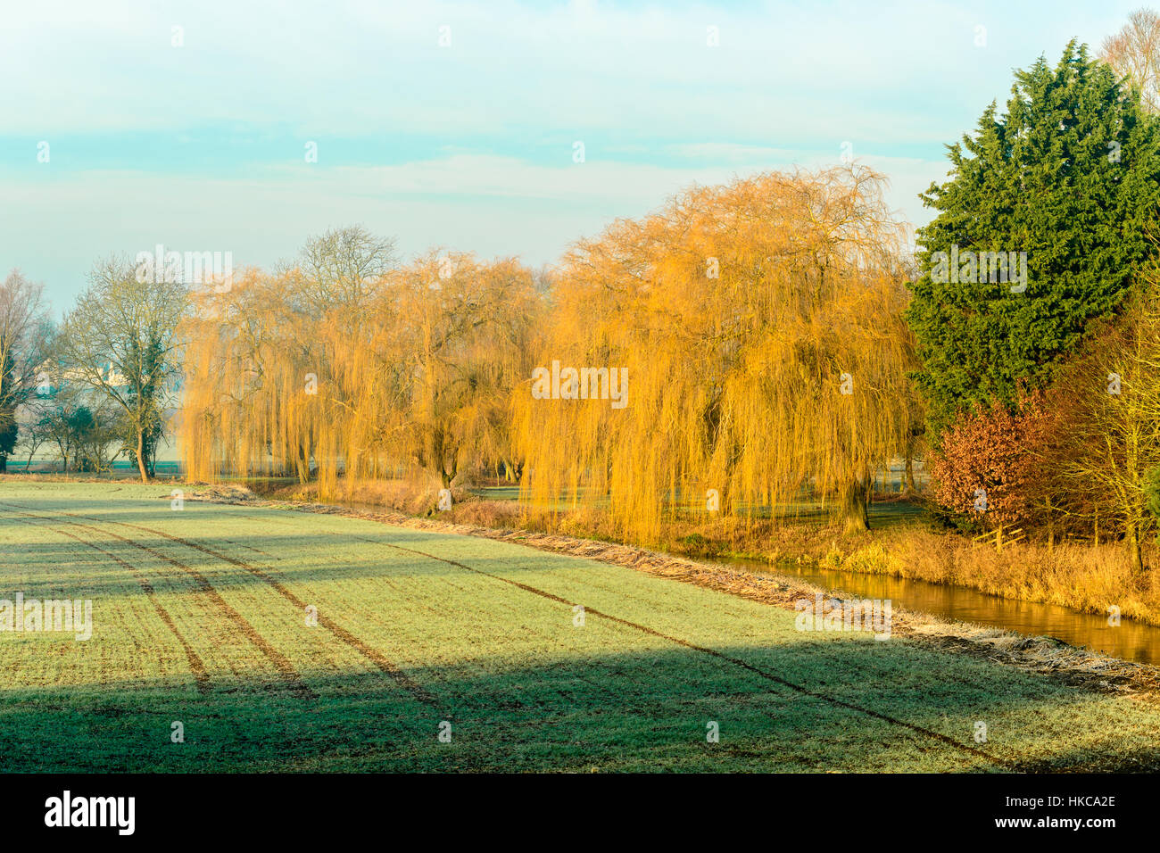 Northamptonshire countryside in winter Stock Photo - Alamy