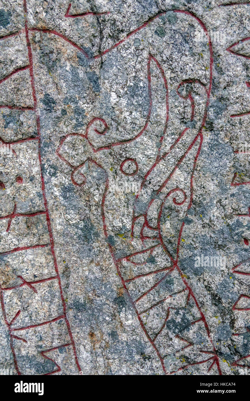 Runestone on a the field with runic inscription, runes about 1000 A.D ...