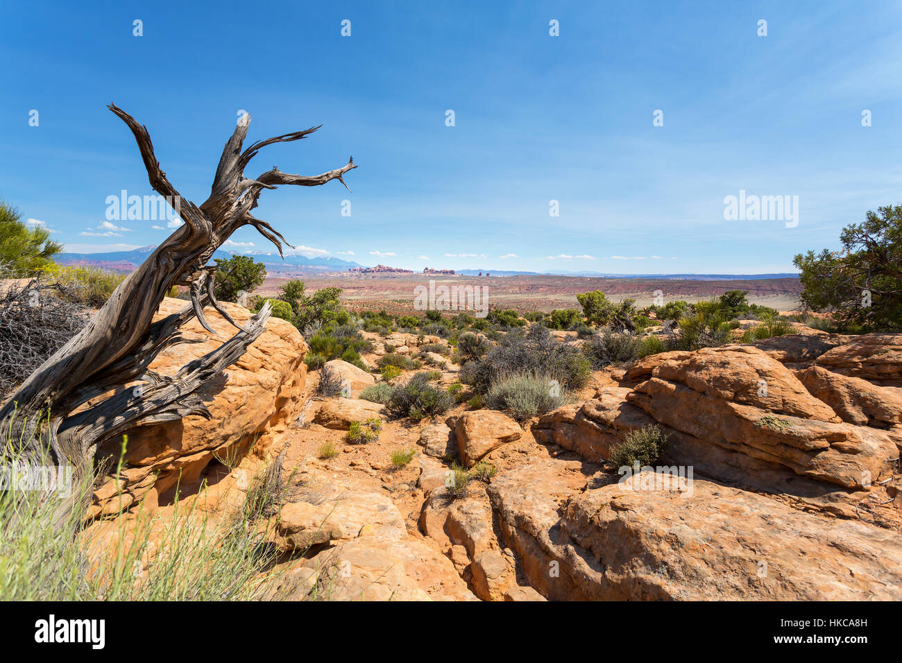 Stone mountains in valley Stock Photo - Alamy