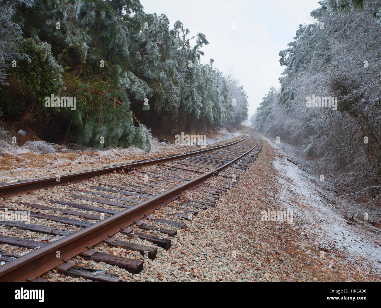 Railroad tracks that wind through an icy forest Stock Photo - Alamy