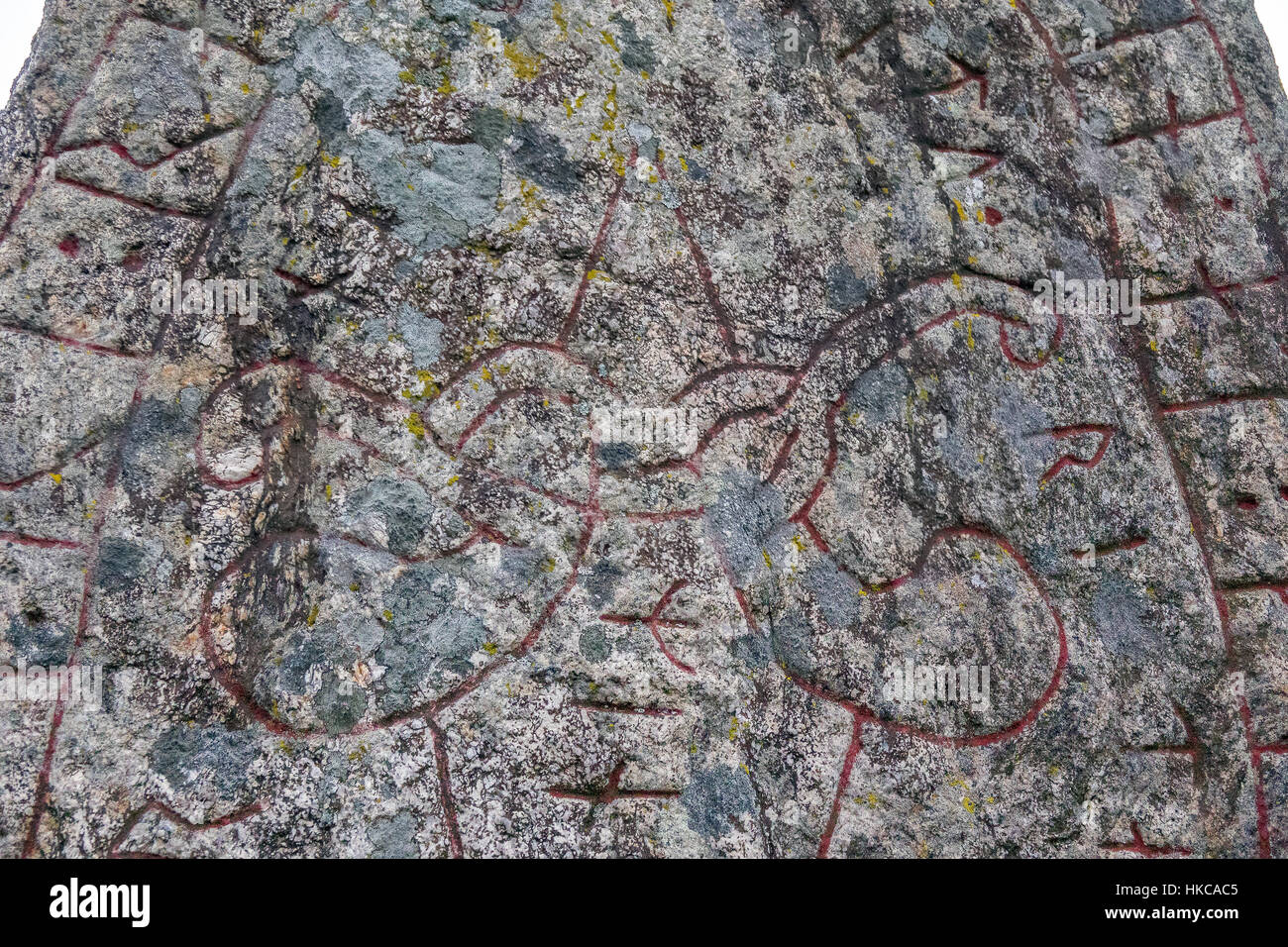 Runestone on a the field with runic inscription, runes about 1000 A.D ...