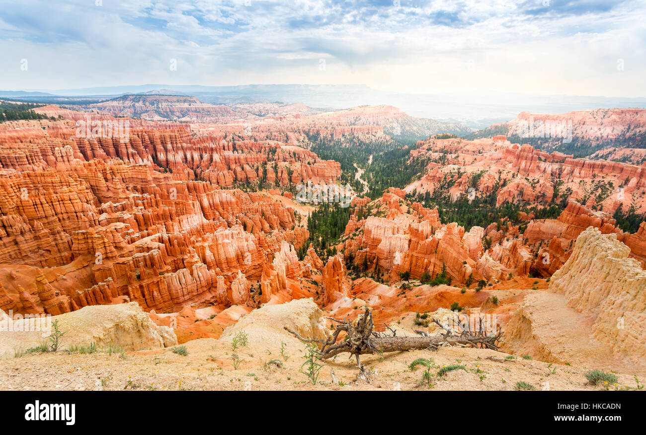 Bryce Canyon landscape from the top of mountain Stock Photo - Alamy