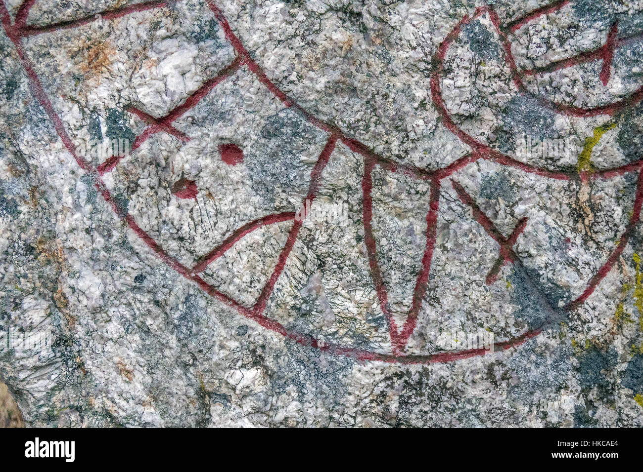 Runestone on a the field with runic inscription, runes about 1000 A.D ...