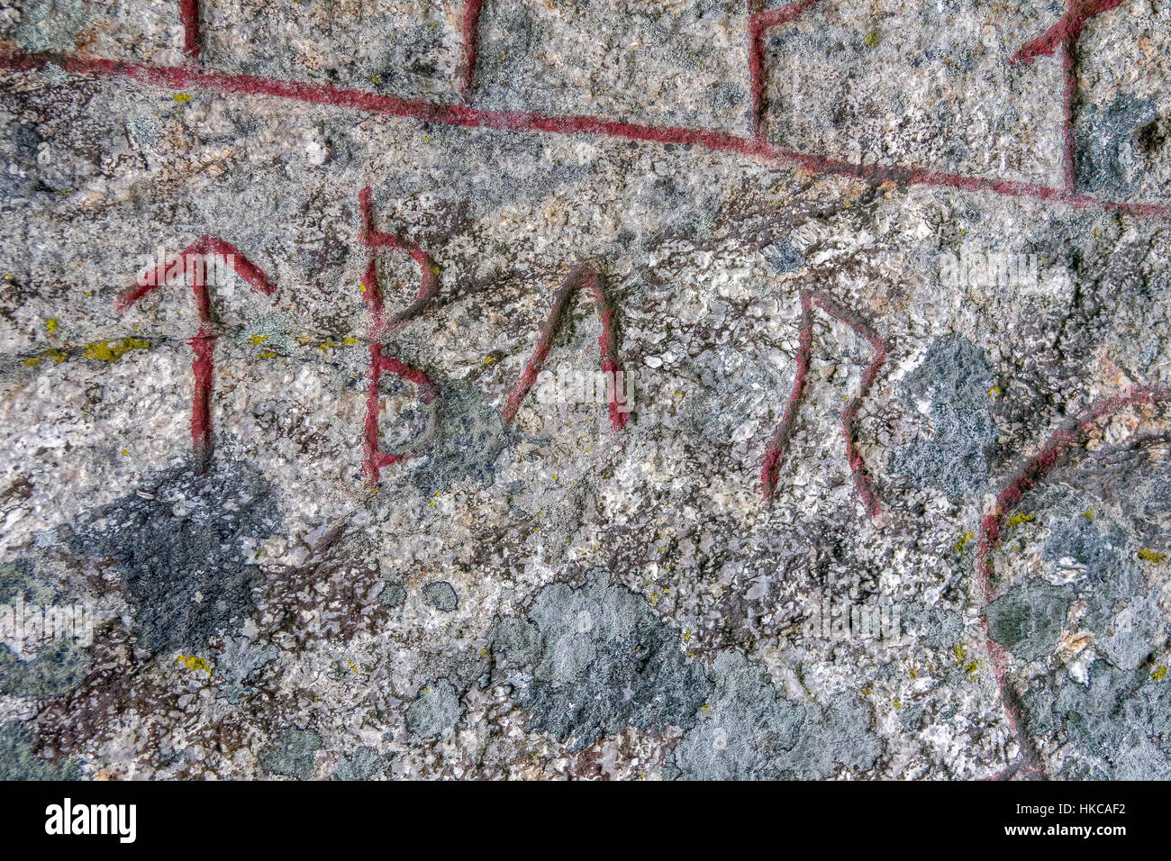 Runestone on a the field with runic inscription, runes about 1000 A.D ...