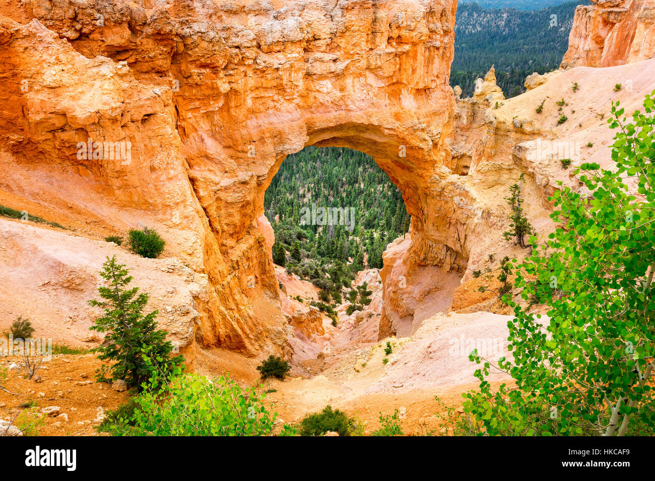 Natural bridge rock formation Stock Photo - Alamy