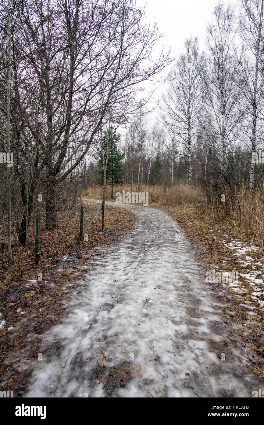 Walking trail in winter Stock Photo - Alamy