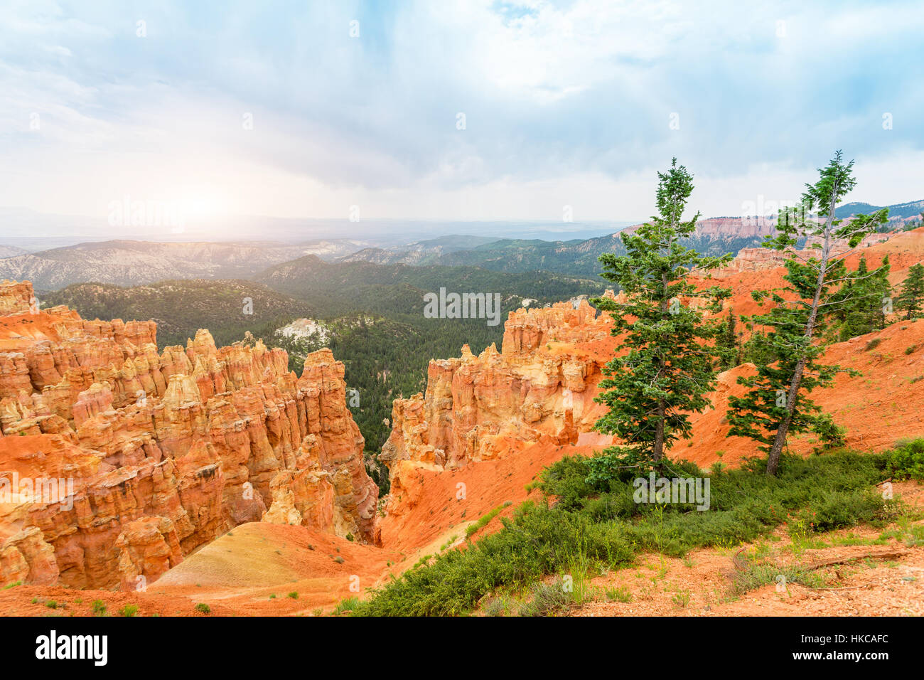 Bryce Canyon landscape from the top of mountain Stock Photo - Alamy