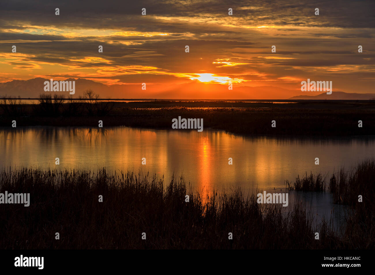 The setting sun reflects on one of the ponds in the Farmington Bay ...