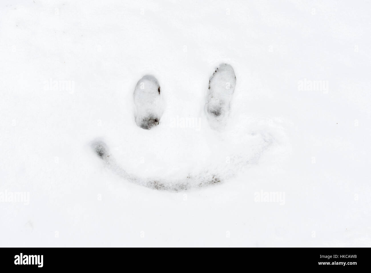 Frosty smiley face hi-res stock photography and images - Alamy