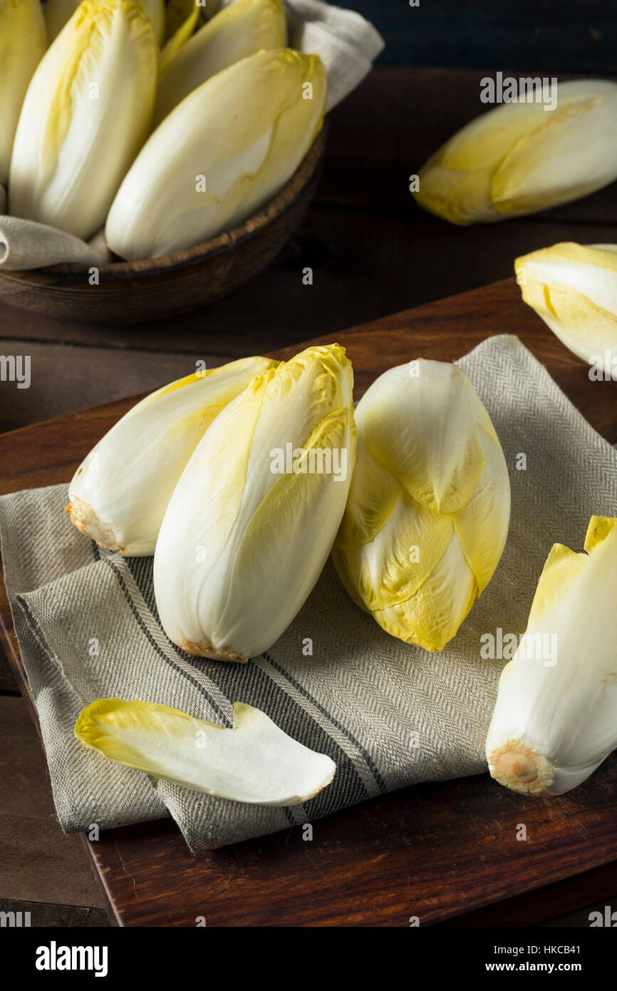 Endive Chicory Cichorium Endivia High Resolution Stock Photography and ...