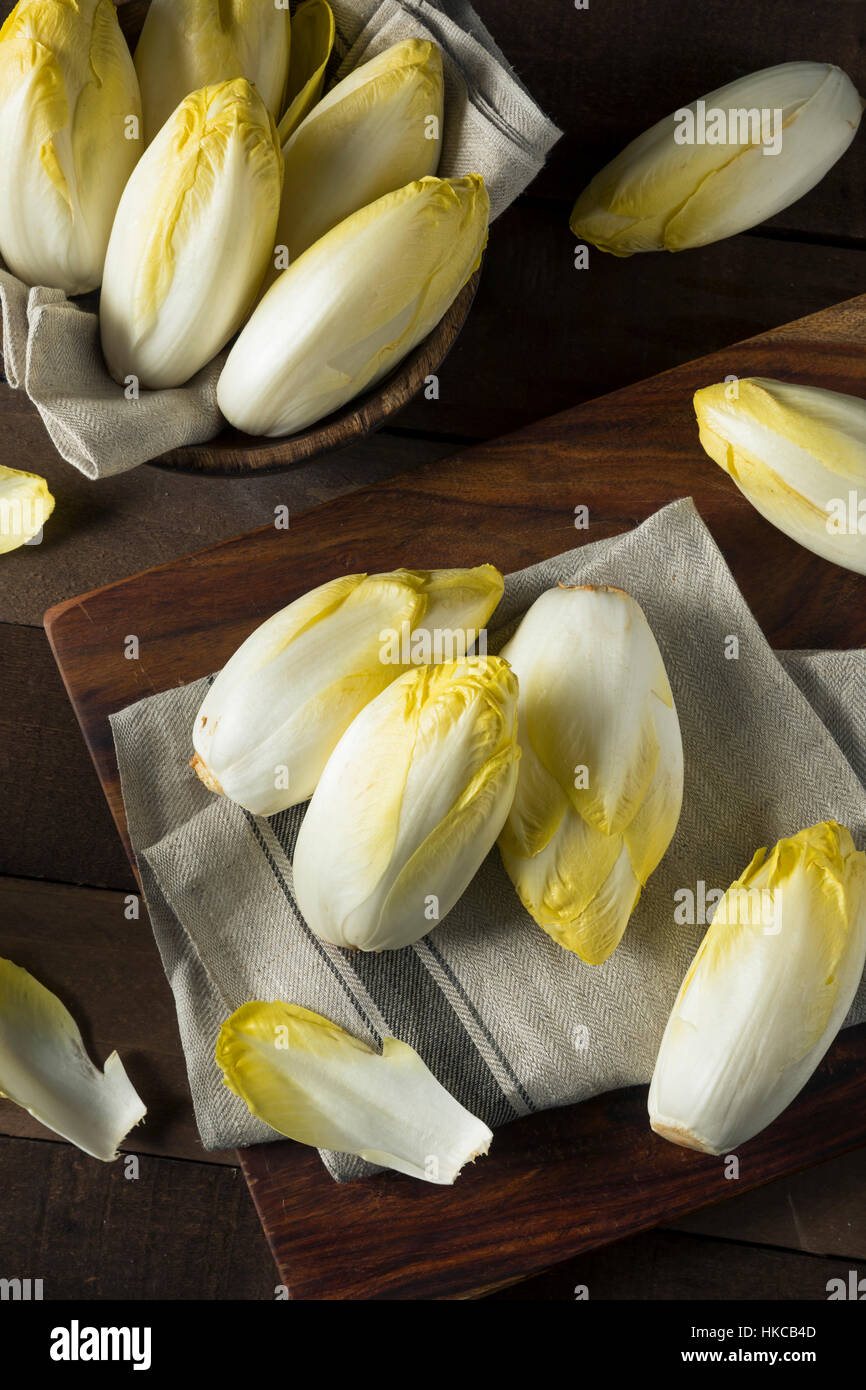 Endive Chicory Cichorium Endivia High Resolution Stock Photography and ...