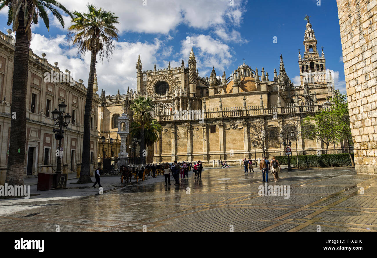 View of Seville Cathedral and Archivio de Indias from Real Alcazar ...