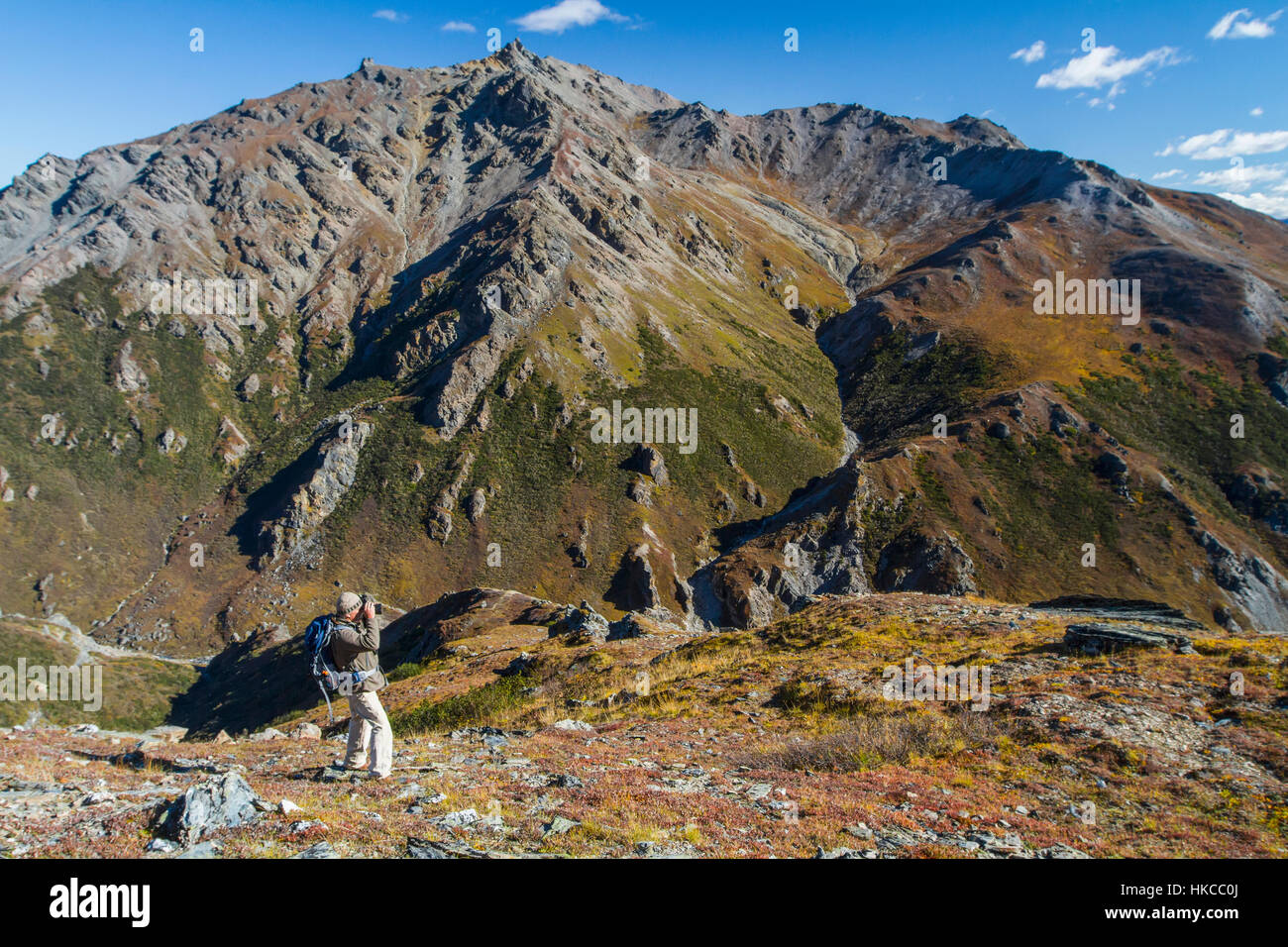 Photographer in high country during autumn, Denali National Park ...