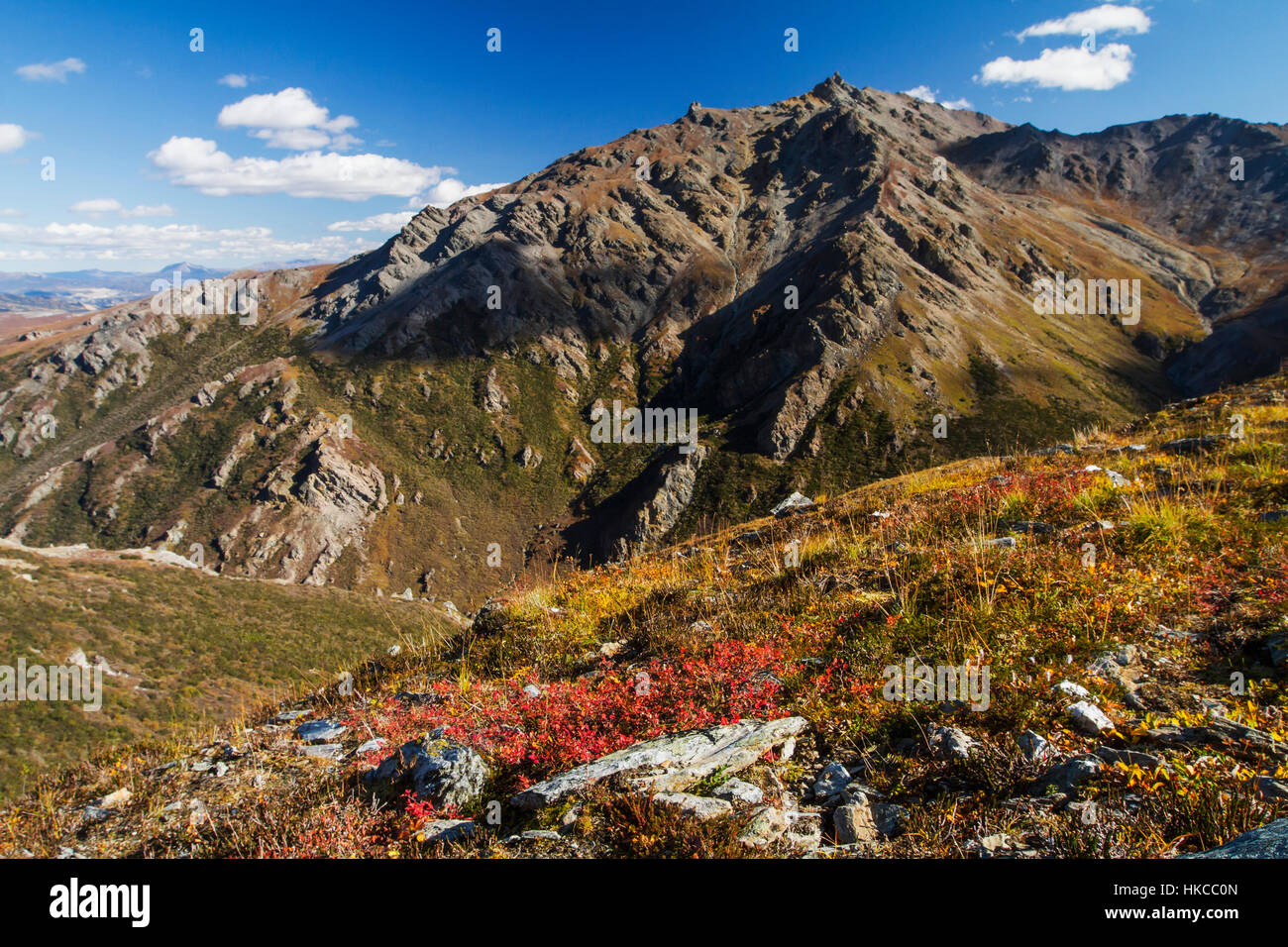 Landscape in the rocky high country of Denali National Park and ...