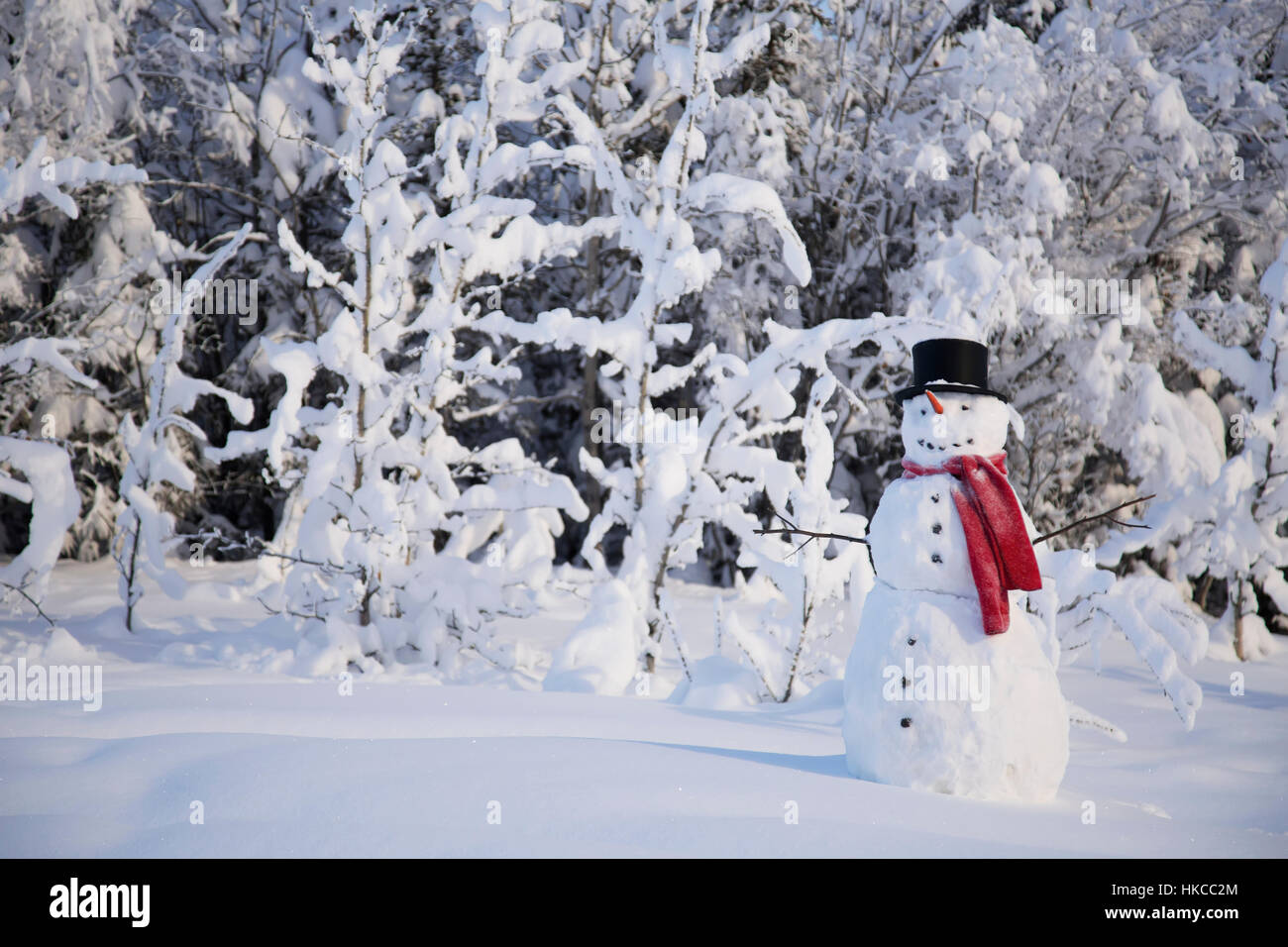 Copper center alaska hi-res stock photography and images - Alamy